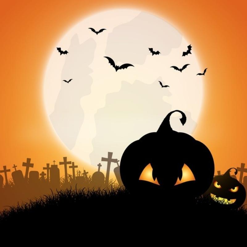 Lễ Hội Halloween Là Ngày Nào 2022? Halloween Là Gì? ý Nghĩa Gì?