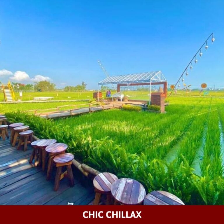 Top 6 Quán Cafe Ruộng Hội An Check-in Đỉnh