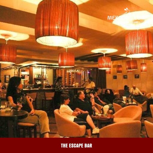 Top 8 Quán Cà Phê Acoustic Đà Lạt được Yêu Thích Nhất