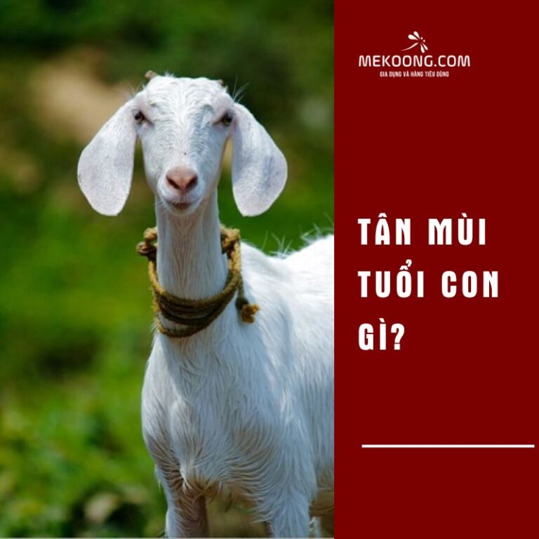 Tân Mùi Sinh Năm 1991, 1931 Hợp Mệnh Nào? Hợp Màu Gì?
