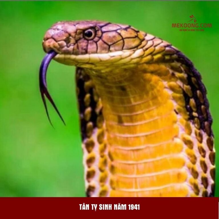Tân Tỵ Mệnh Gì? Tuổi Tân Tỵ Hợp Với Màu Gì? Hợp Với Tuổi Gì?