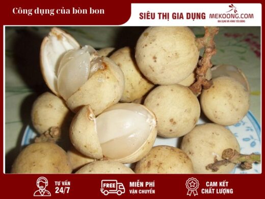 Ăn Quả Bòn Bon Sẽ Gây Nóng Hay Mát Trong Người? Cách Chọn Mua Bòn Bon Ngon